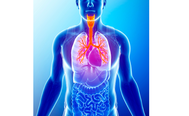 Hyperreactive Airway Management Tips